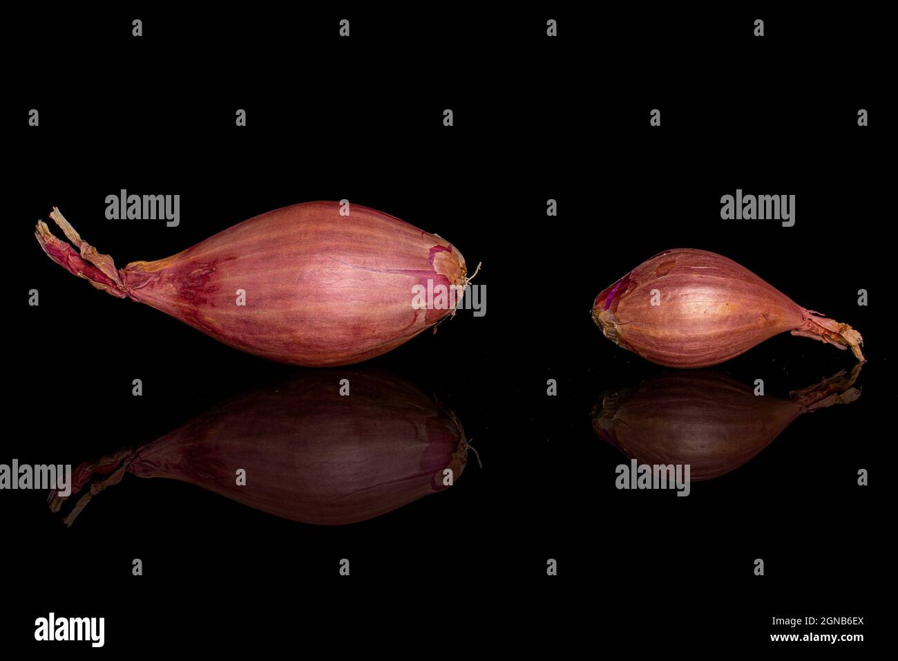Group of two whole shallot on black glass Stock Photo - Alamy