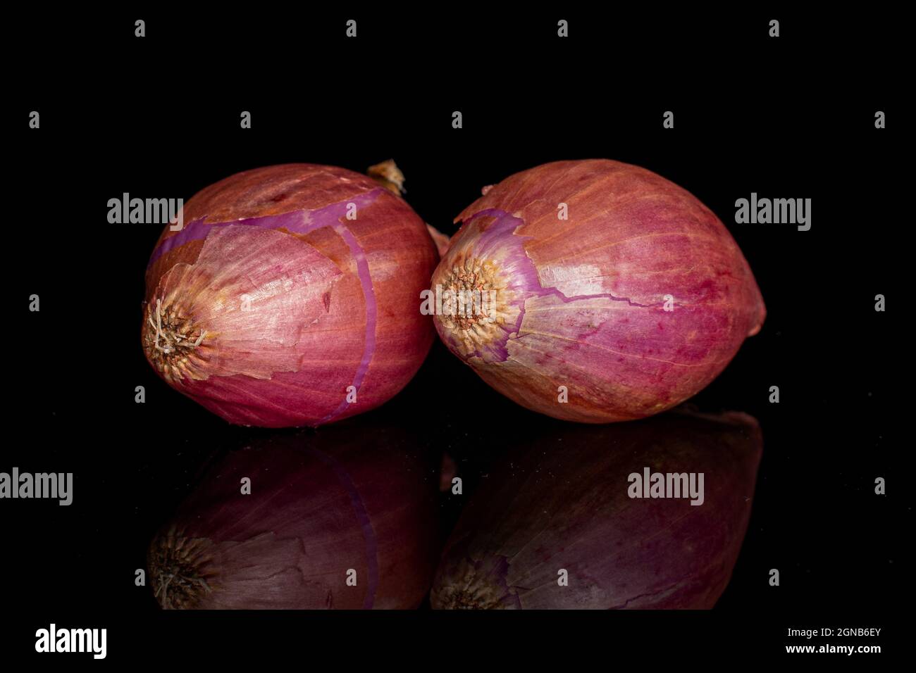 Group of two whole shallot on black glass Stock Photo - Alamy