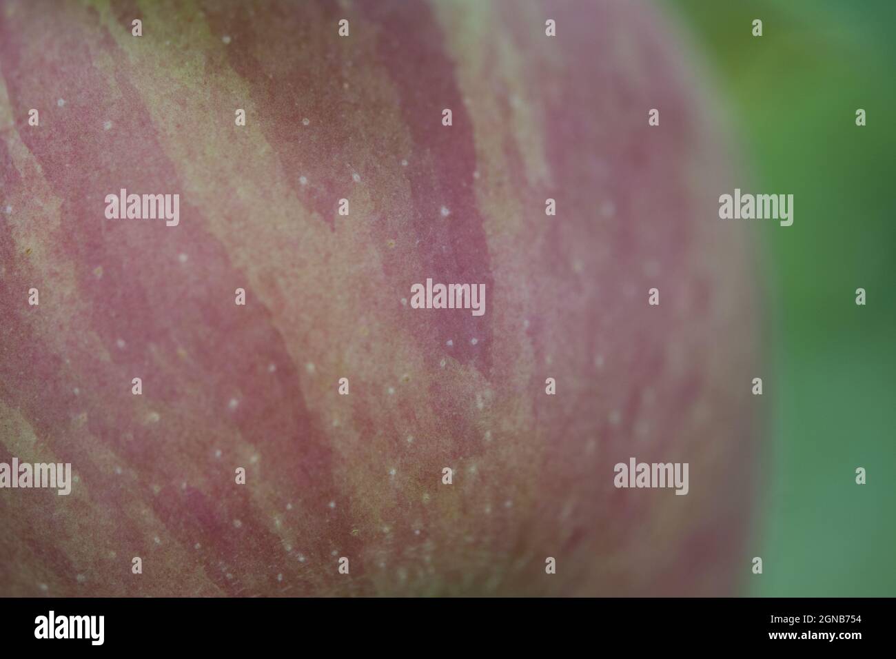 apple skin close up Stock Photo - Alamy
