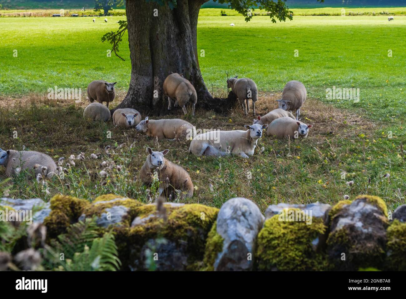 The South Tyne Trail follows the route of the River South Tyne from the ...