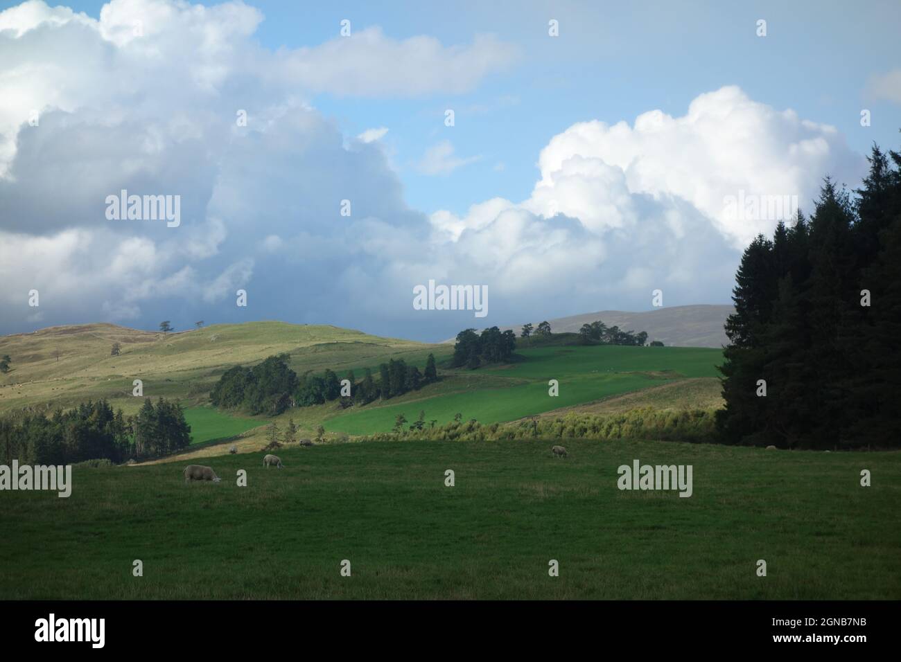 Perthshire Landscape, Perth, Scotland Stock Photo - Alamy