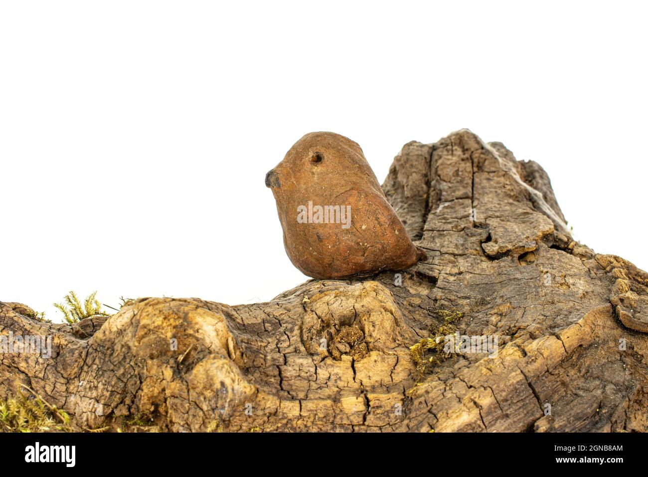 Ceramic bird sitting on old piece of stump isolated on white background ...