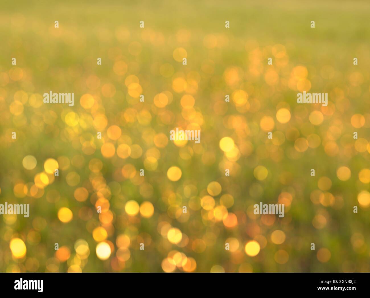 Shades of green and gold hi-res stock photography and images - Alamy