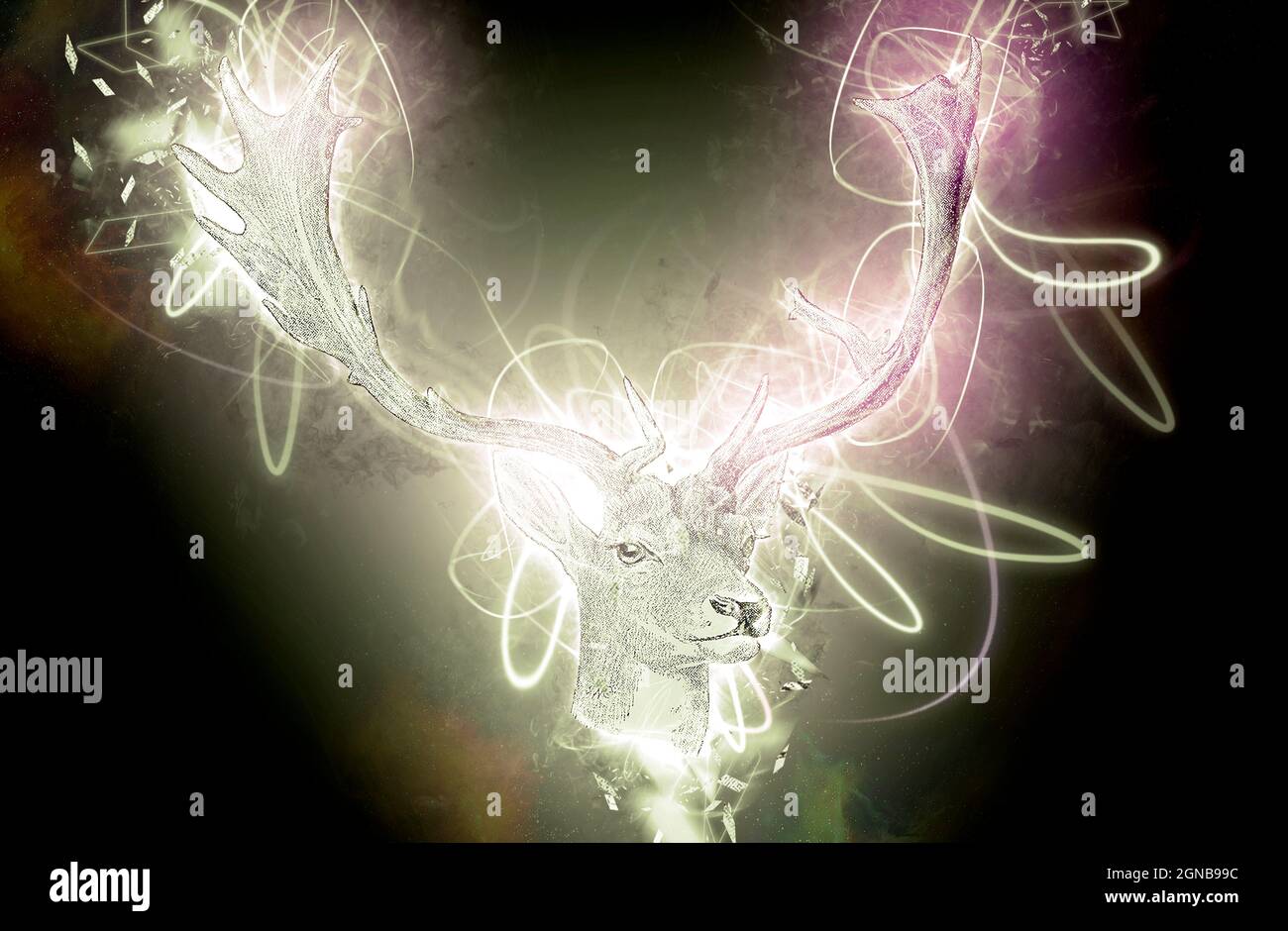 Extinct stag moose hi-res stock photography and images - Alamy