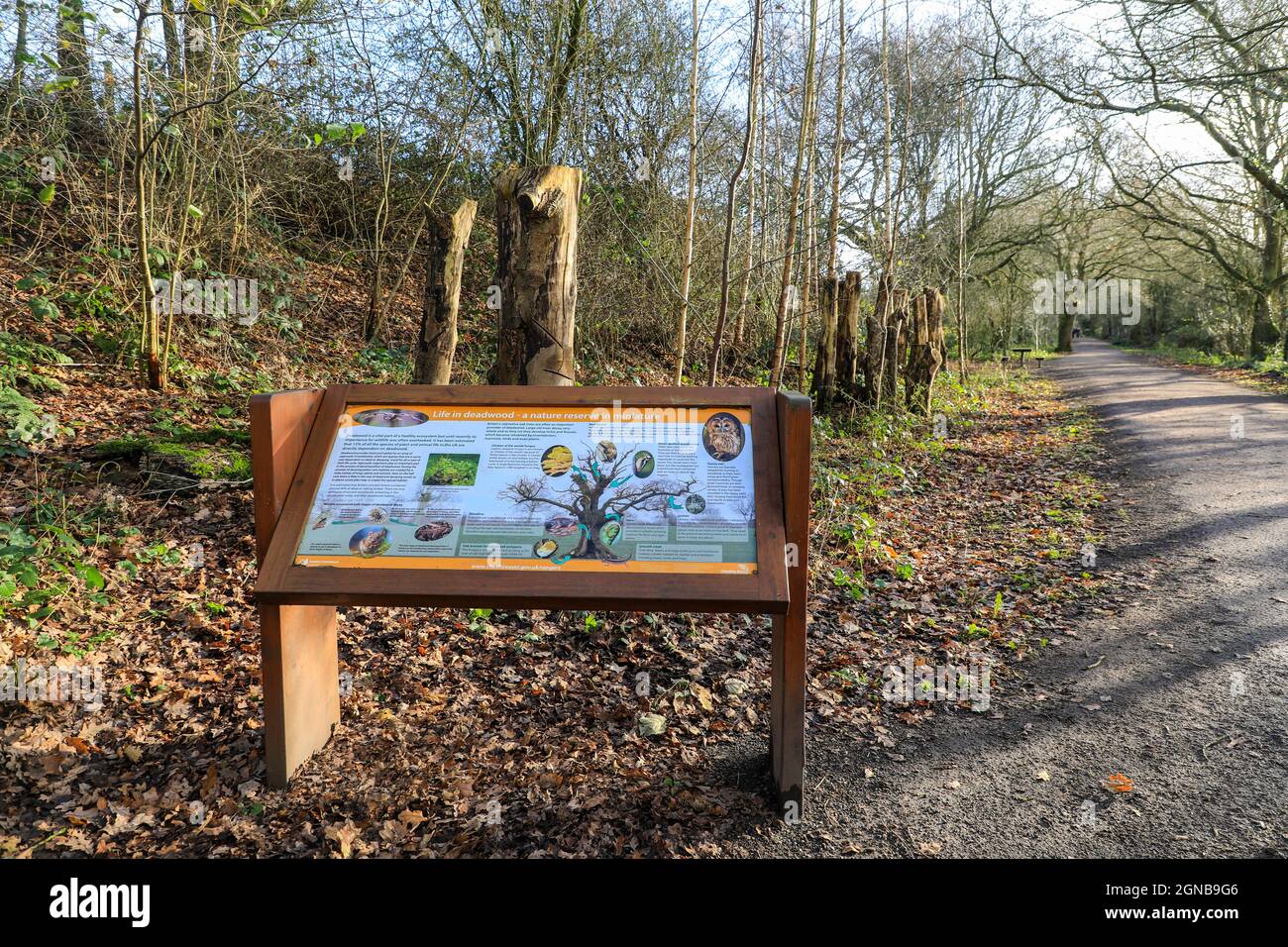 The Salt Line nature trail and cycleway route following the line of a ...