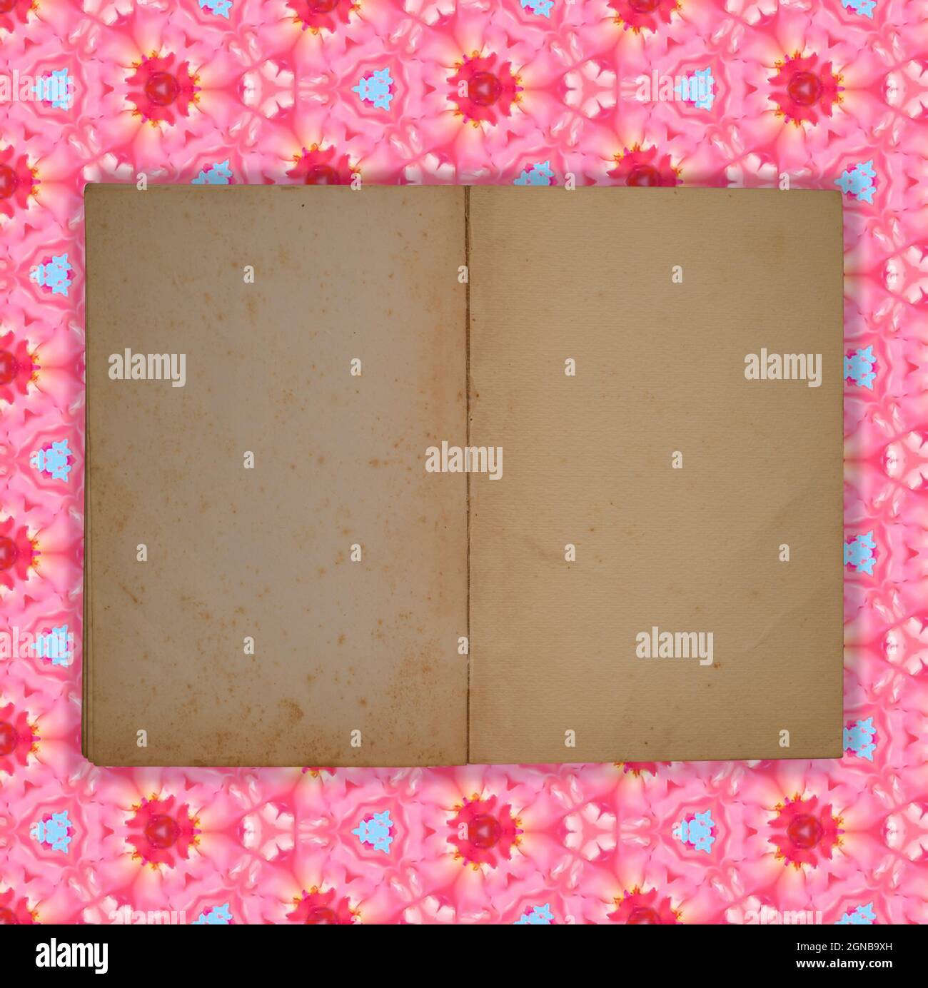 Abstract page border hi-res stock photography and images - Alamy