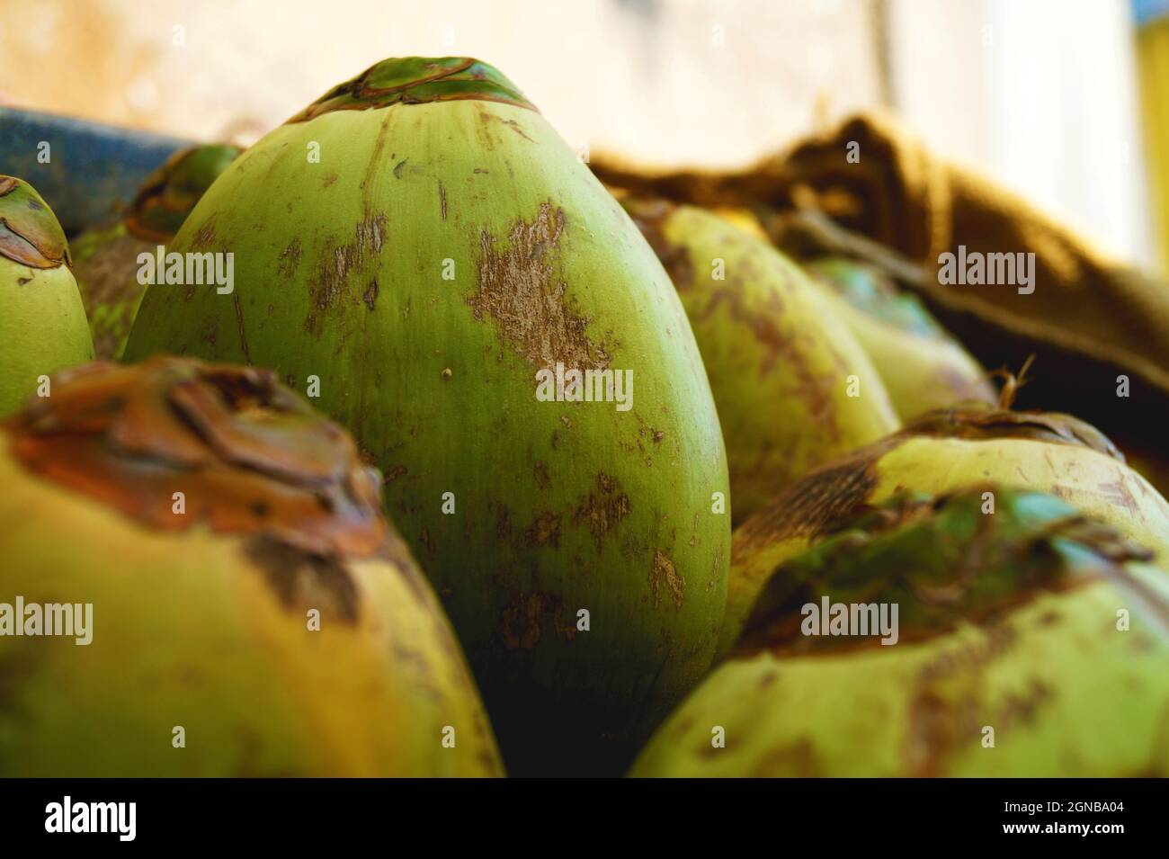 Tender coconuts hi-res stock photography and images - Alamy