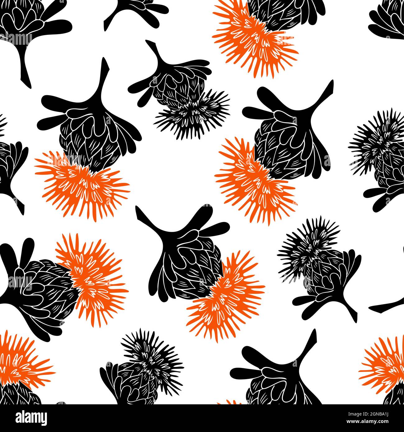 Safflower seed Stock Vector Images - Alamy