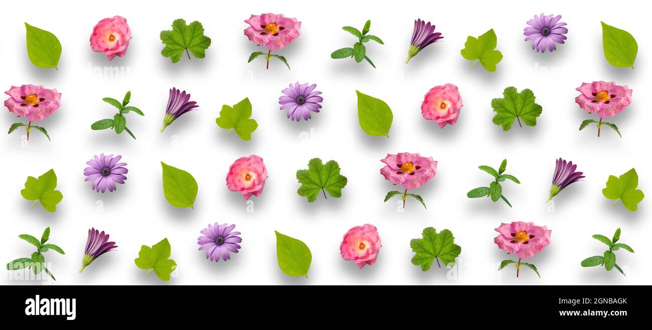 Summer floral flat lay Cut Out Stock Images & Pictures - Alamy