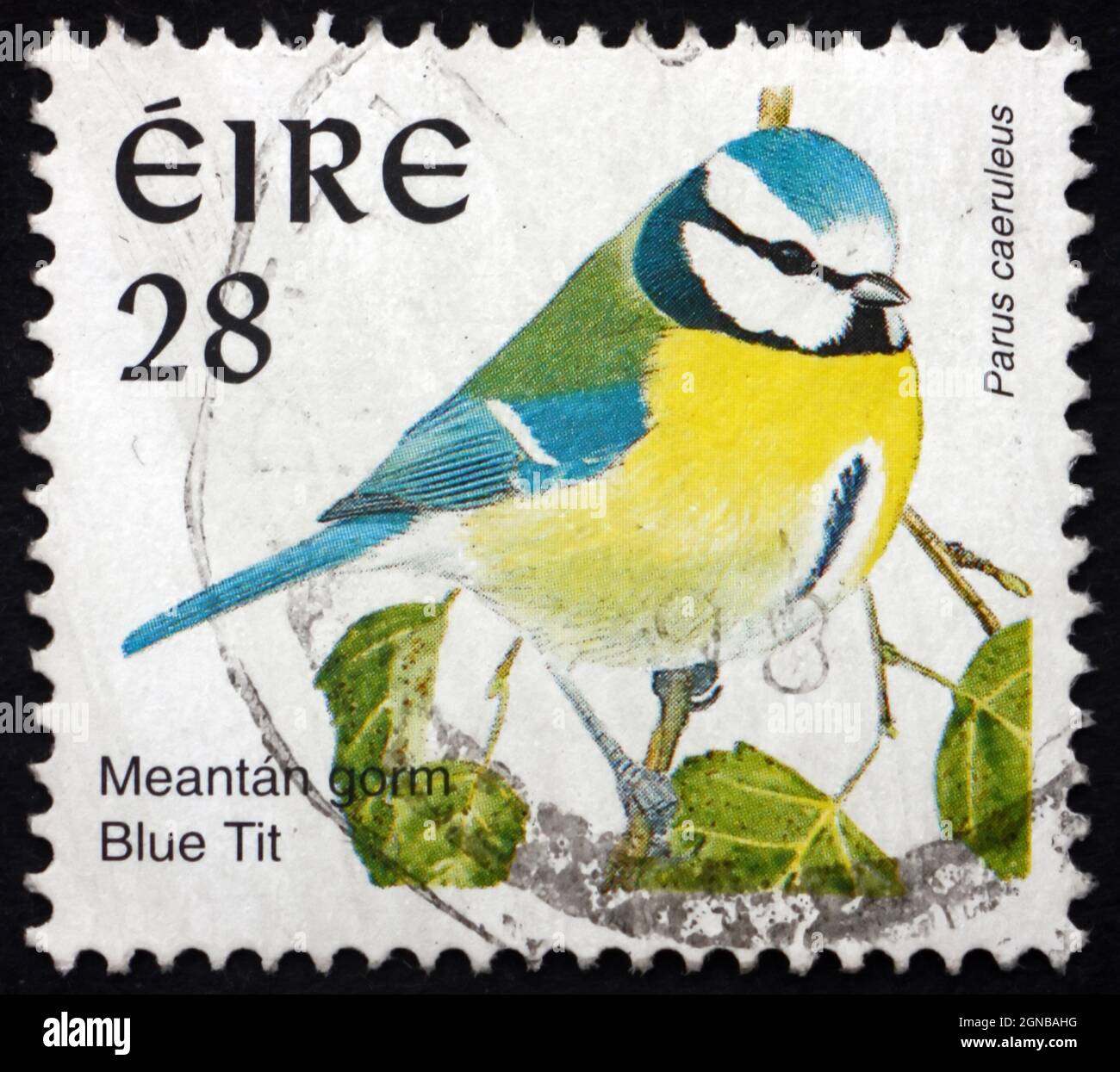 IRELAND - CIRCA 1997: a stamp printed in Ireland shows Blue Tit ...