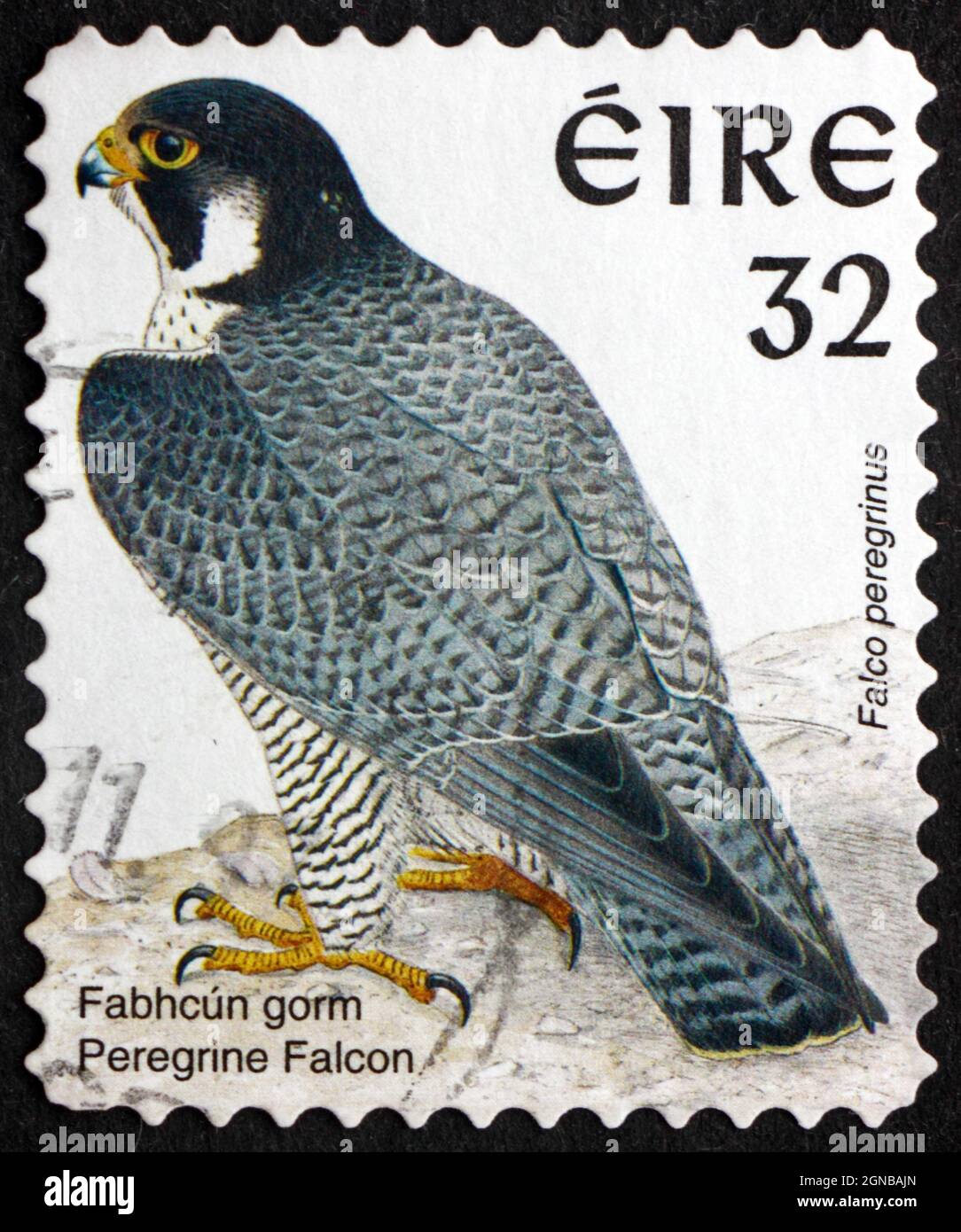 IRELAND - CIRCA 1997: a stamp printed in Ireland shows Peregrine Falcon ...