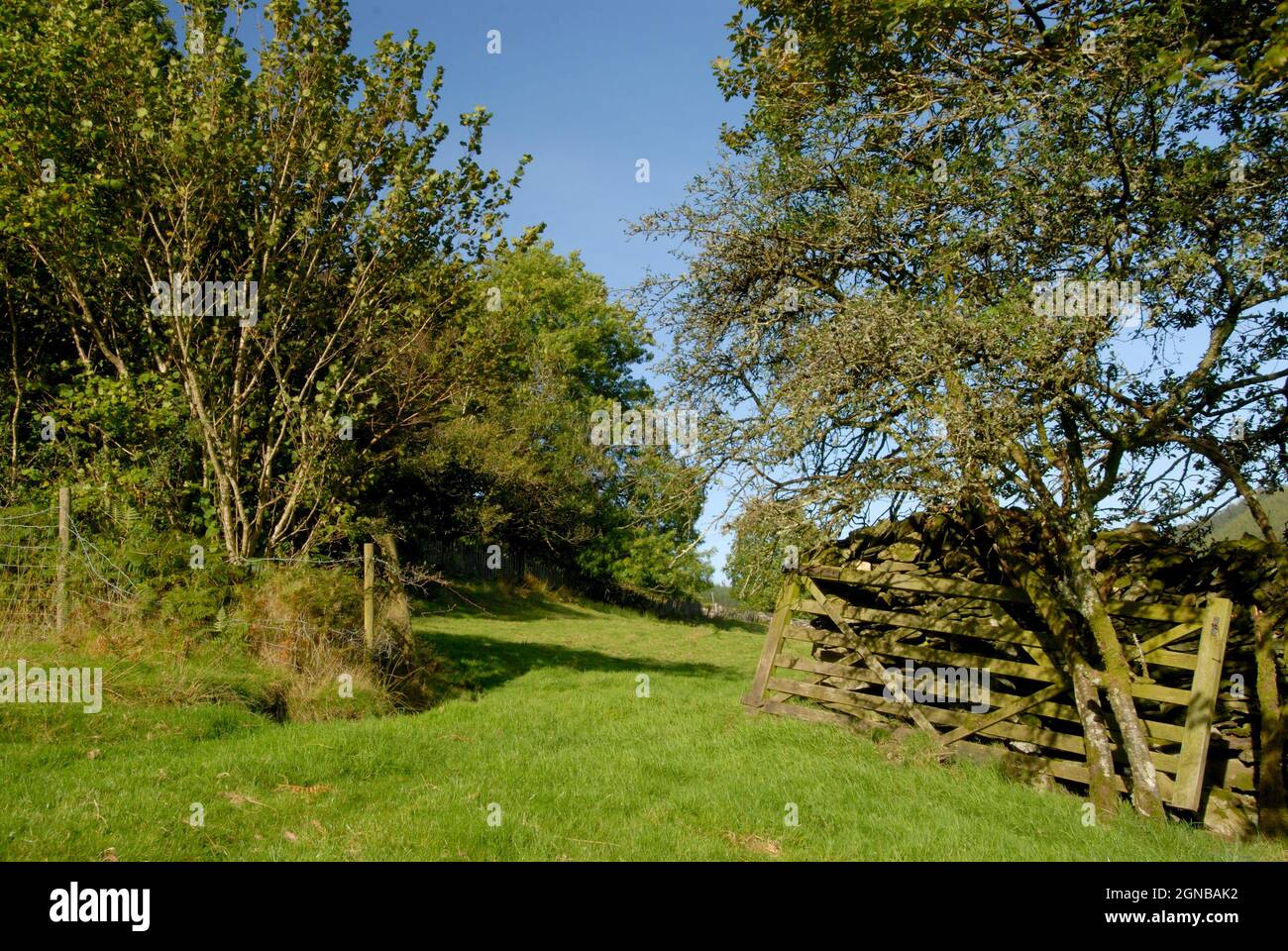 open farmland wooden gate Stock Photo - Alamy