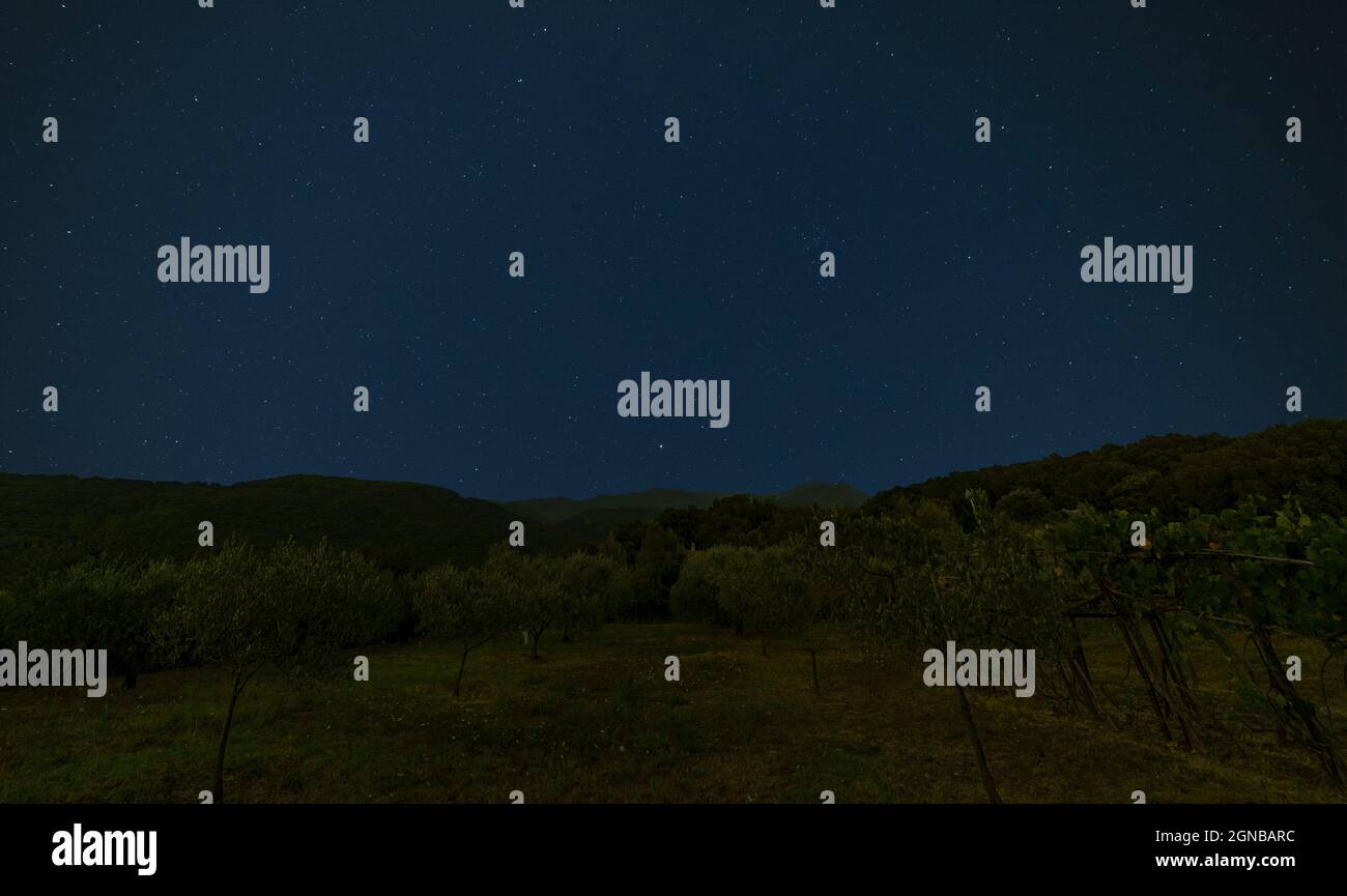 Tuscany countryside night landscape with stars constellations vines and ...