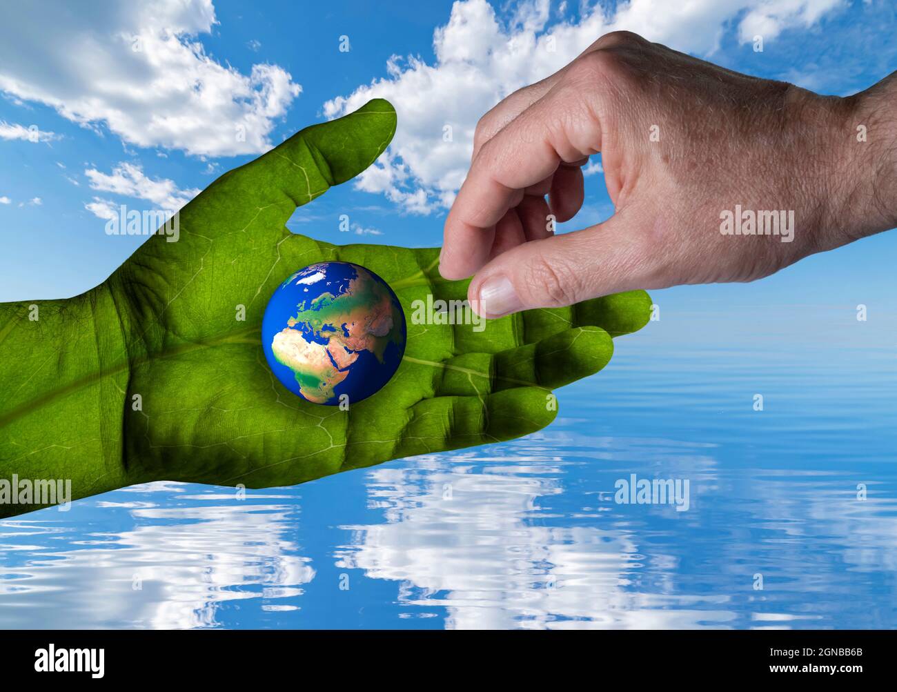 Concept save the world environment two hands macro texture of leaf and ...