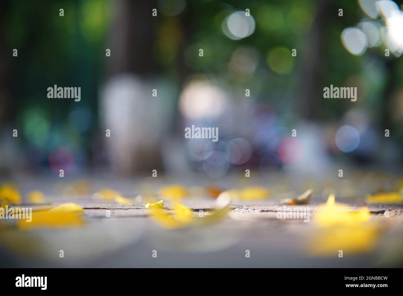Nice cityscape in Ha Noi capital northern Vietnam Stock Photo - Alamy