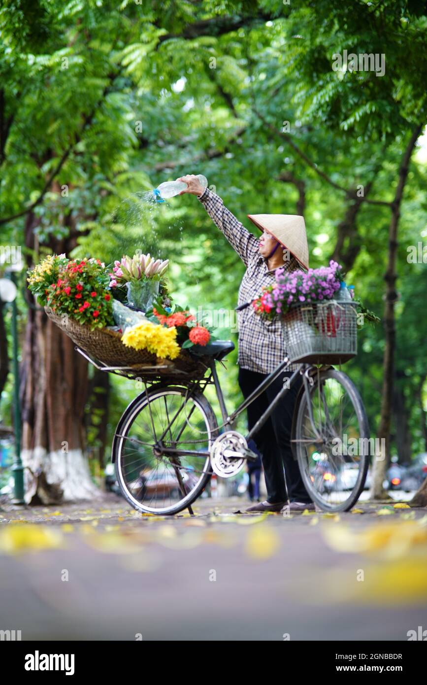 Nice cityscape in Ha Noi capital northern Vietnam Stock Photo - Alamy
