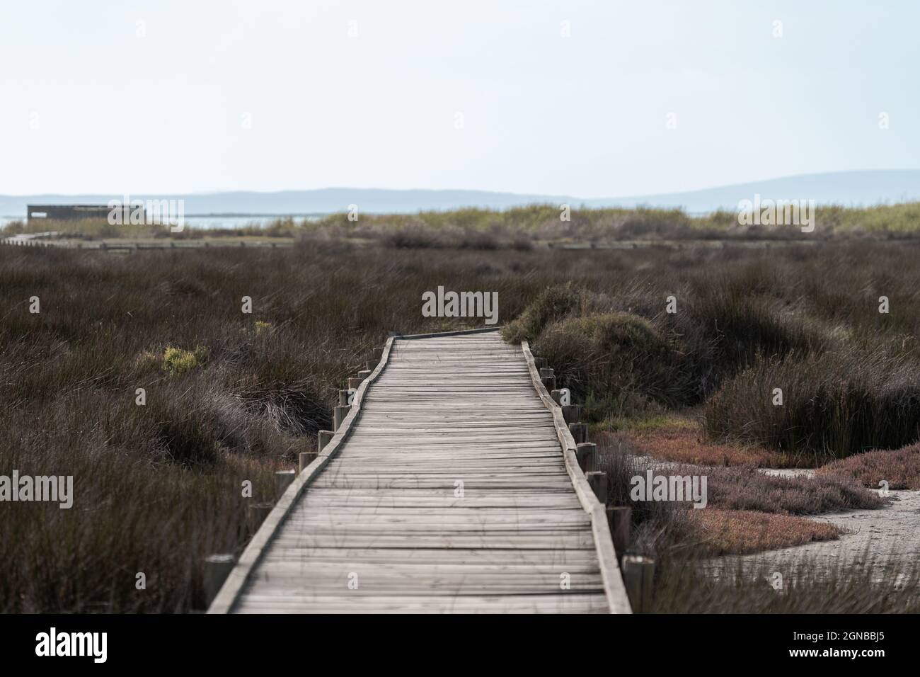West coast national park. Wooden bridge over swamp in south africa ...