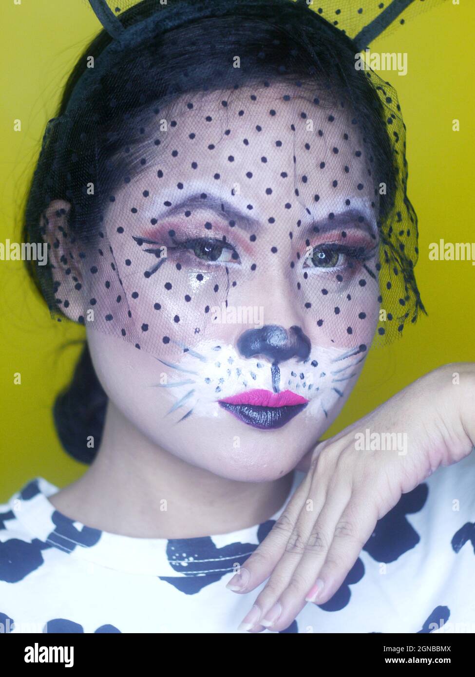 Simple Cat Face Makeup
