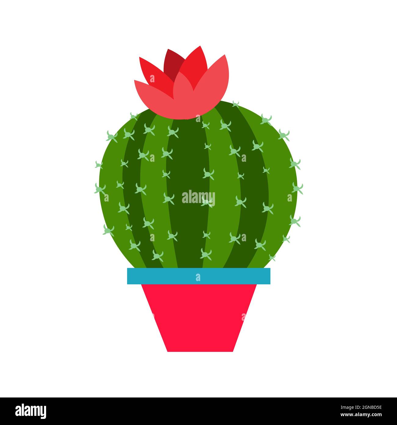 One cactus in a pot isolated on a white background. Vector flat ...
