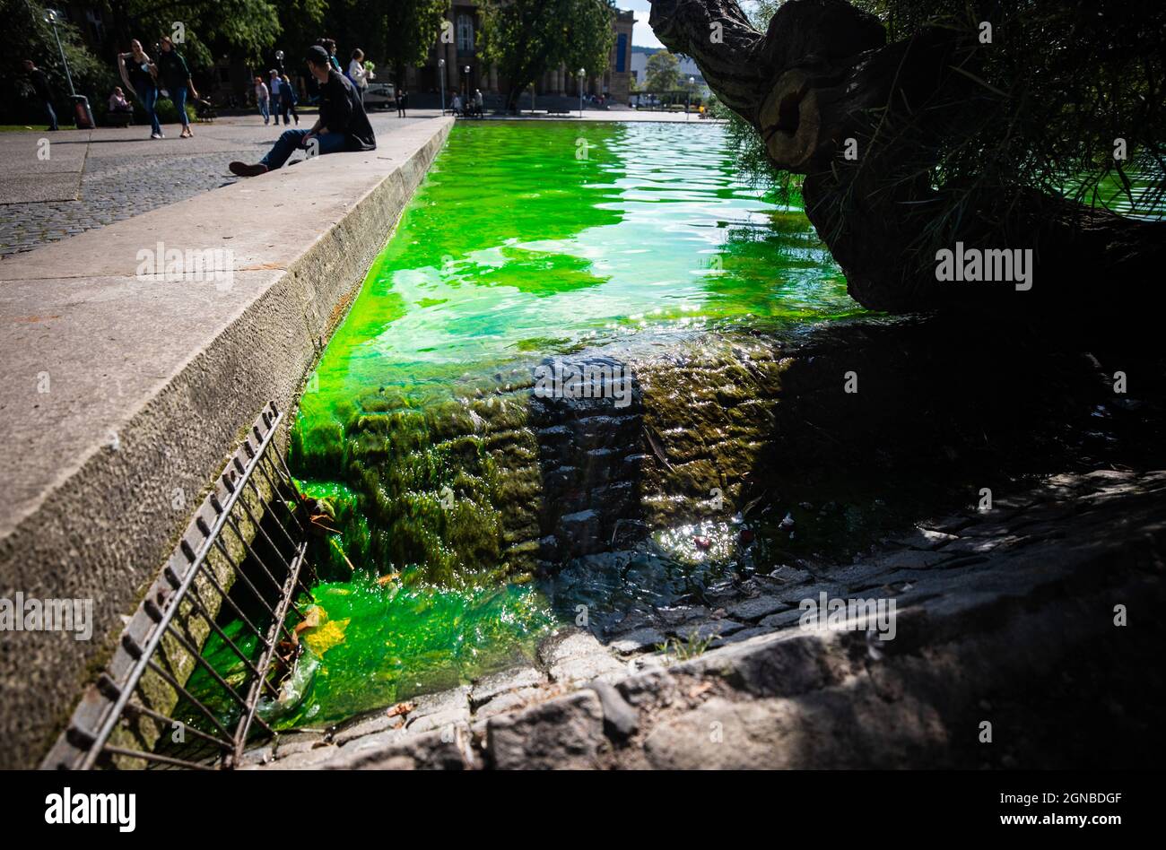 Stuttgart, Germany. 24th Sep, 2021. A man sits at the green discolored ...
