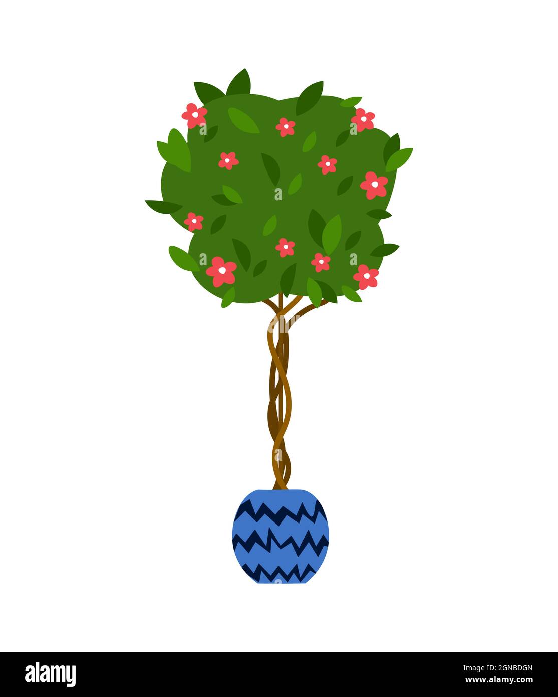 indoor tree .Vector illustration flower, plant growing in a pot. Potted ...