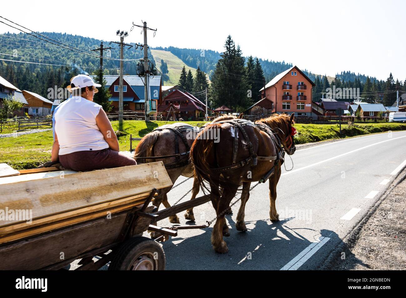 Wooden planks horse carriage hi-res stock photography and images - Alamy