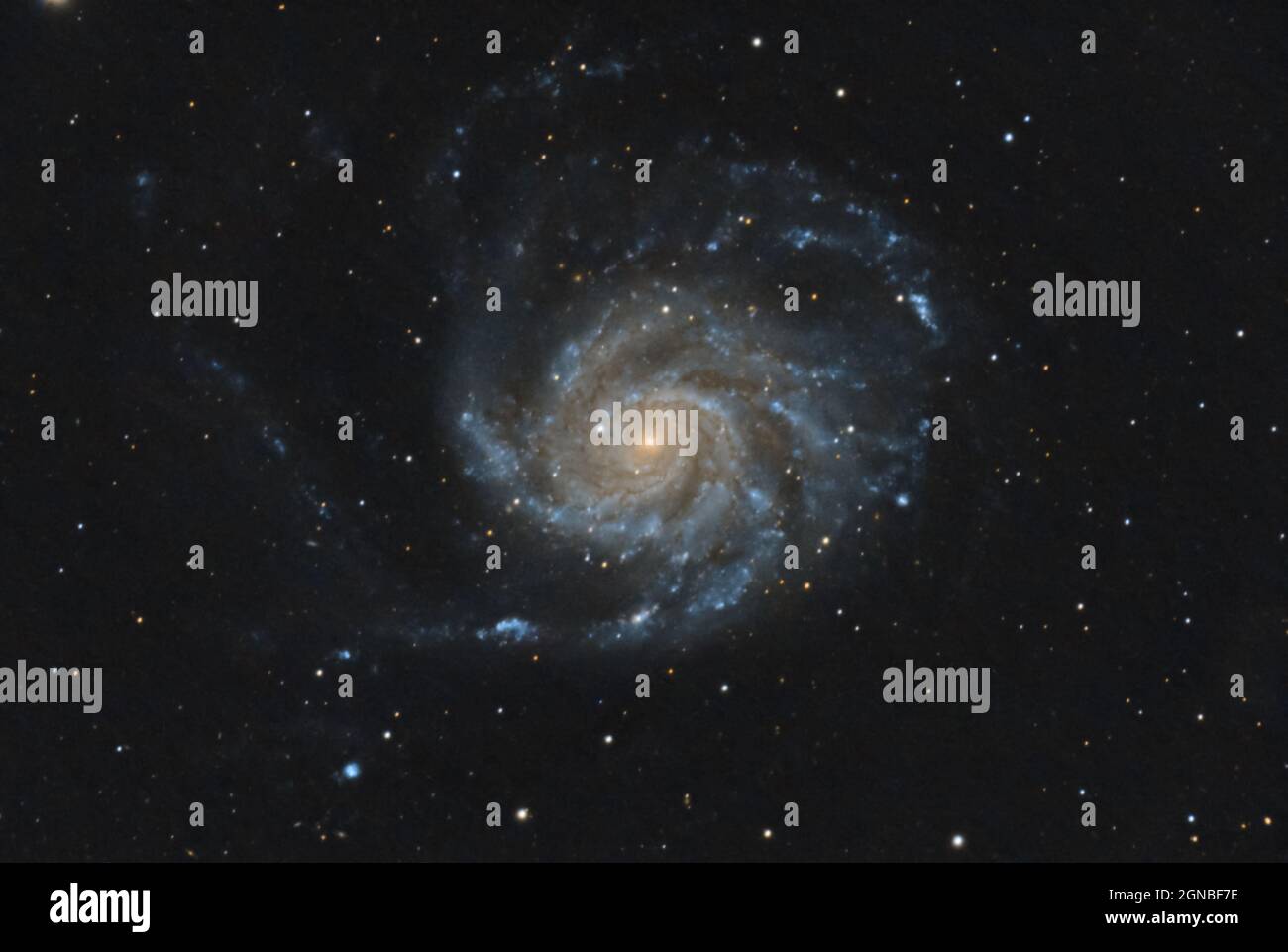 The Pinwheel Galaxy (also known as Messier 101, M101 or NGC 5457), frontal spiral galaxy in the ...