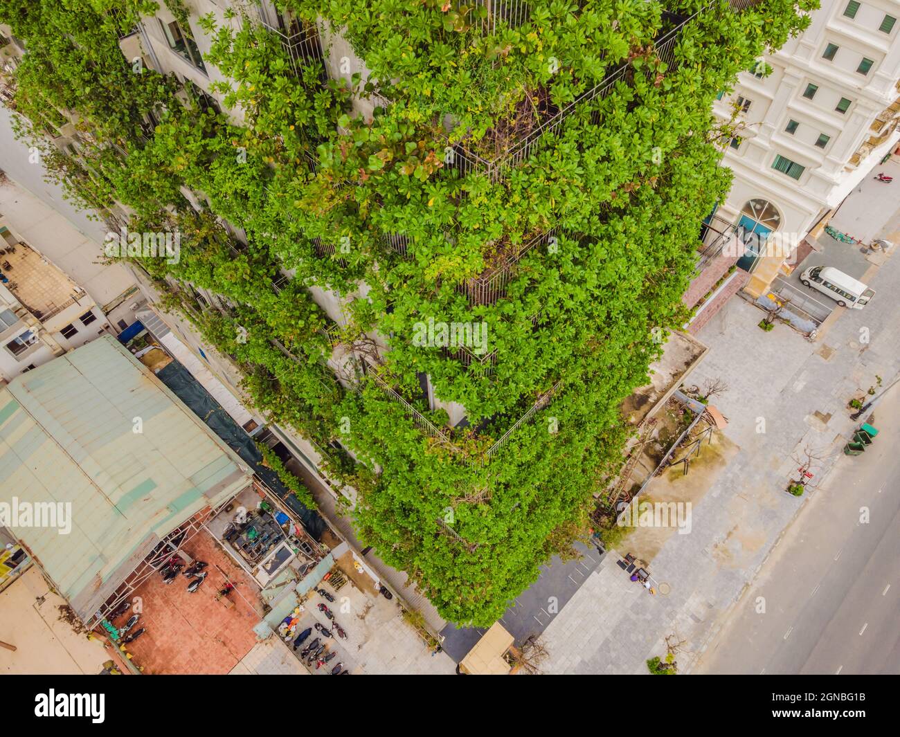Eco architecture. Green cafe with hydroponic plants on the facade ...