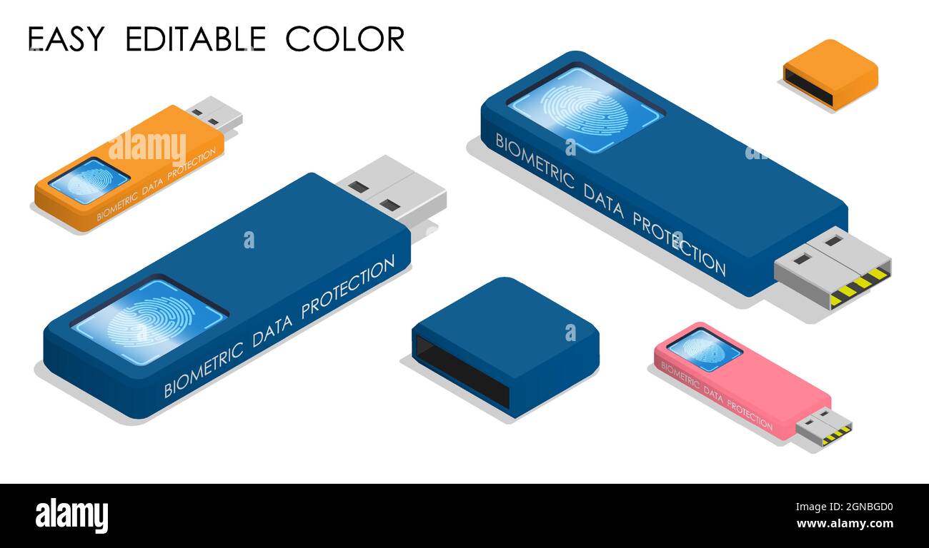Isometric USB flash drive with digital digital fingerprint scanner ...