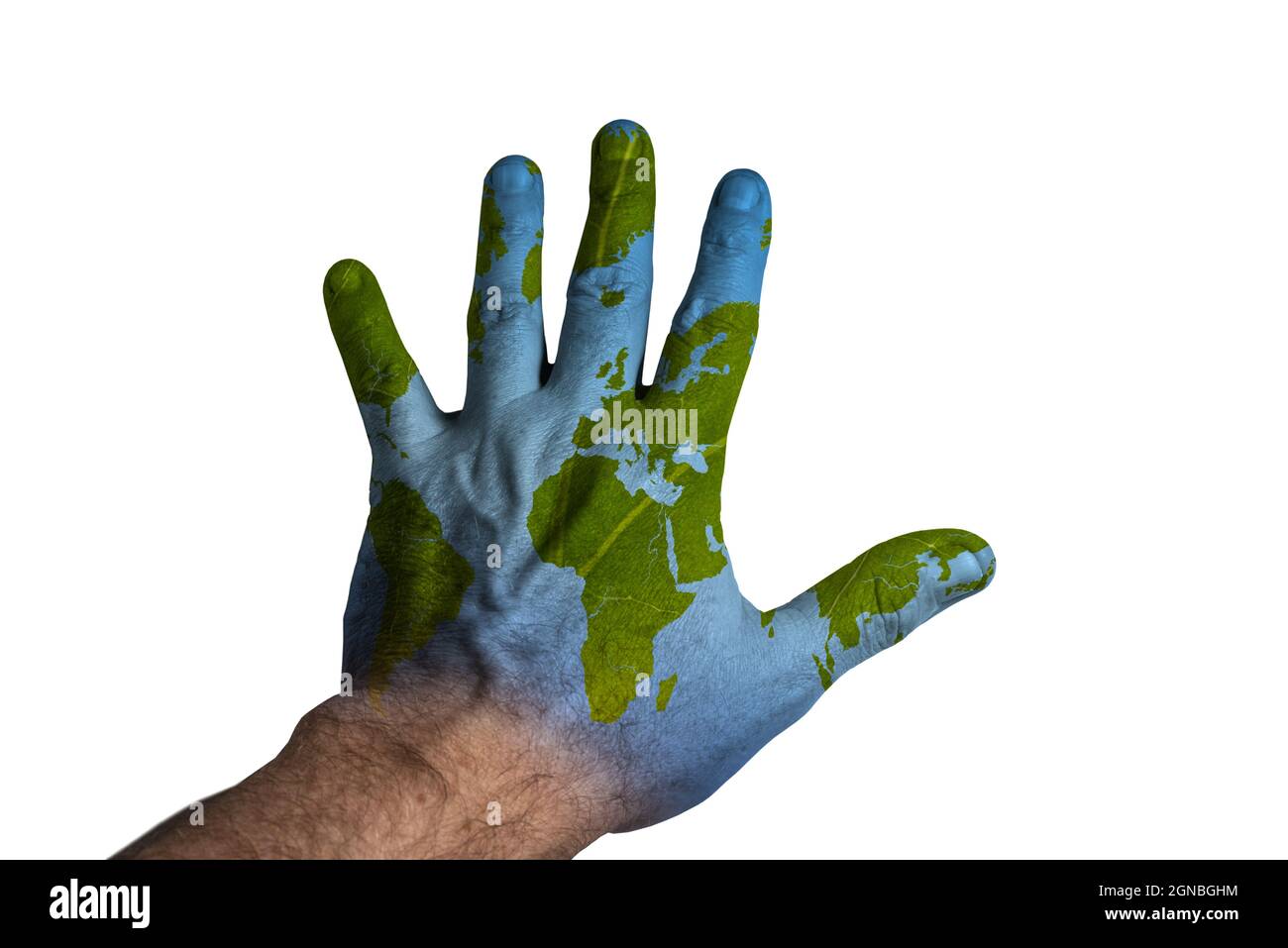 Enlarged leaf Cut Out Stock Images & Pictures - Alamy