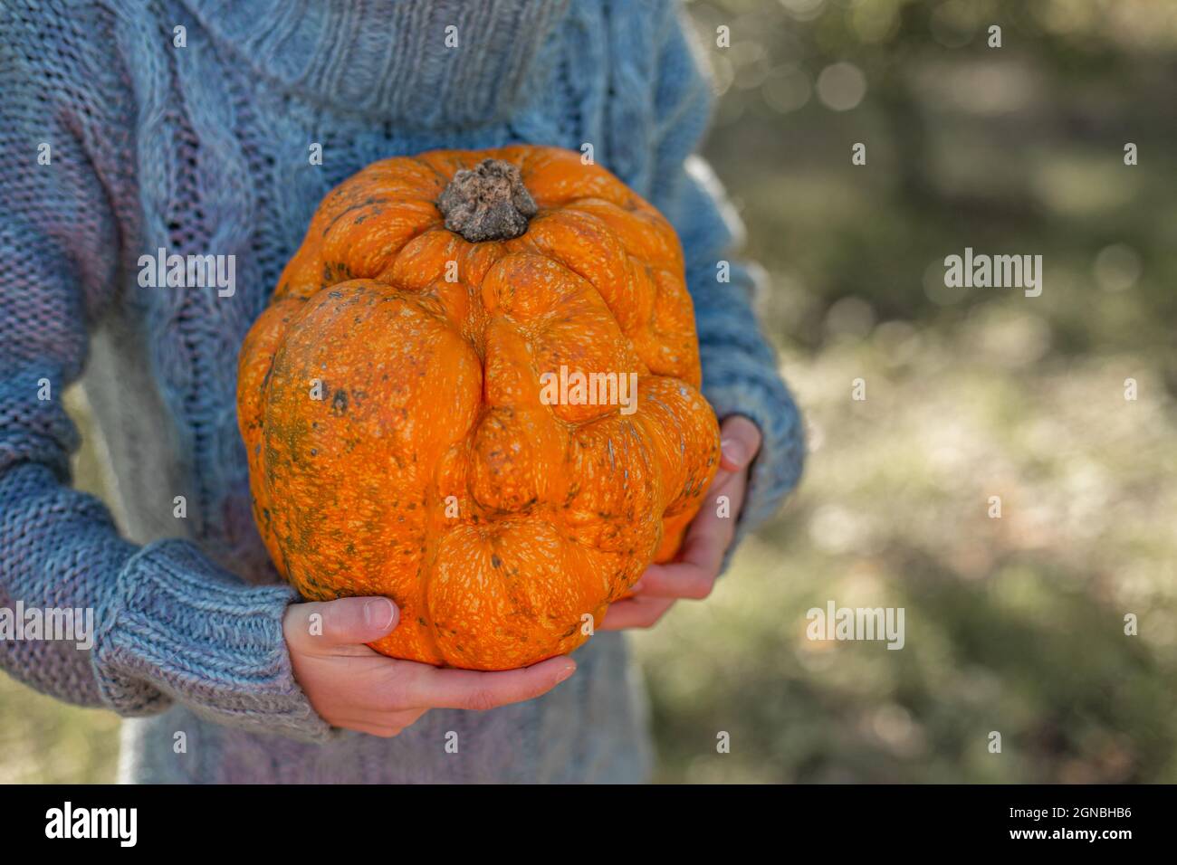 Deformed ugly orange pumpkin in a child hands Stock Photo - Alamy