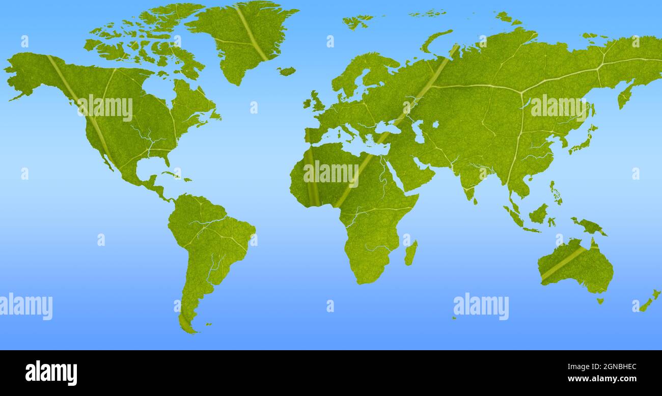 eco world map of the Earth made from green leaf Environmental ...