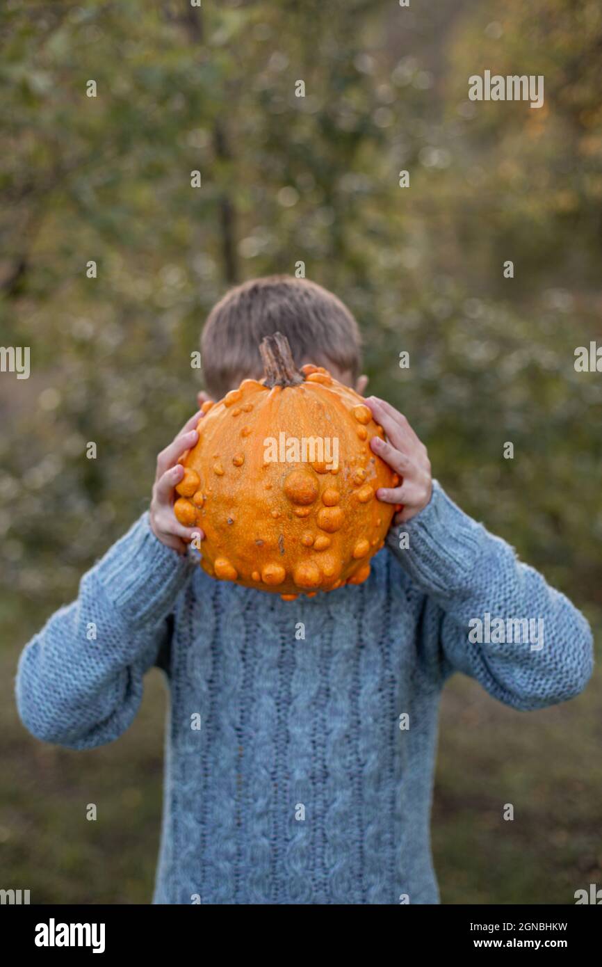 Deformed ugly orange pumpkin in a child hands Stock Photo - Alamy