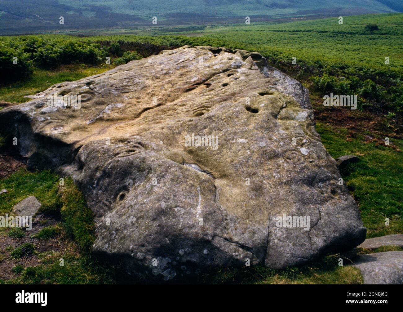 View SW of West Lordenshaw Main Rock covered in prehistoric rock art on ...