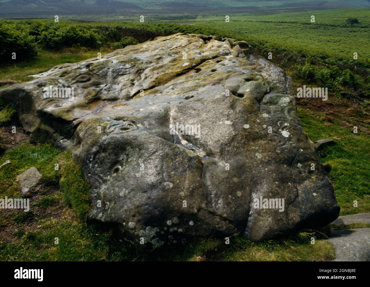 View SW of West Lordenshaw Main Rock covered in prehistoric rock art on ...