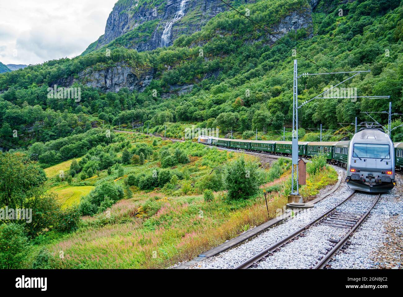 Landscape with train on the route between Myrdal and Flam, Norway Stock ...