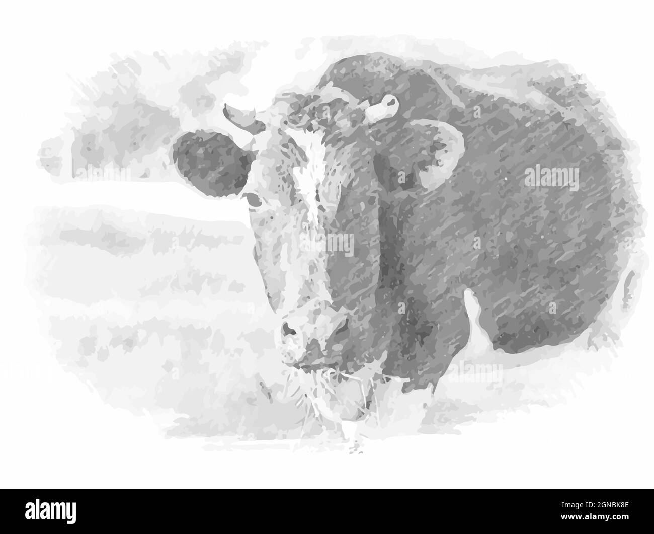 Pencil Portrait of spotted cow chewing grass in pasture. Vector Stock ...