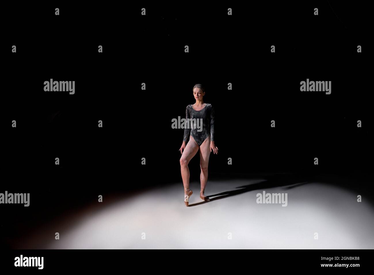 Ballet Dancer Posing On Pointes, Prepared To Perform Dance Alone, In ...