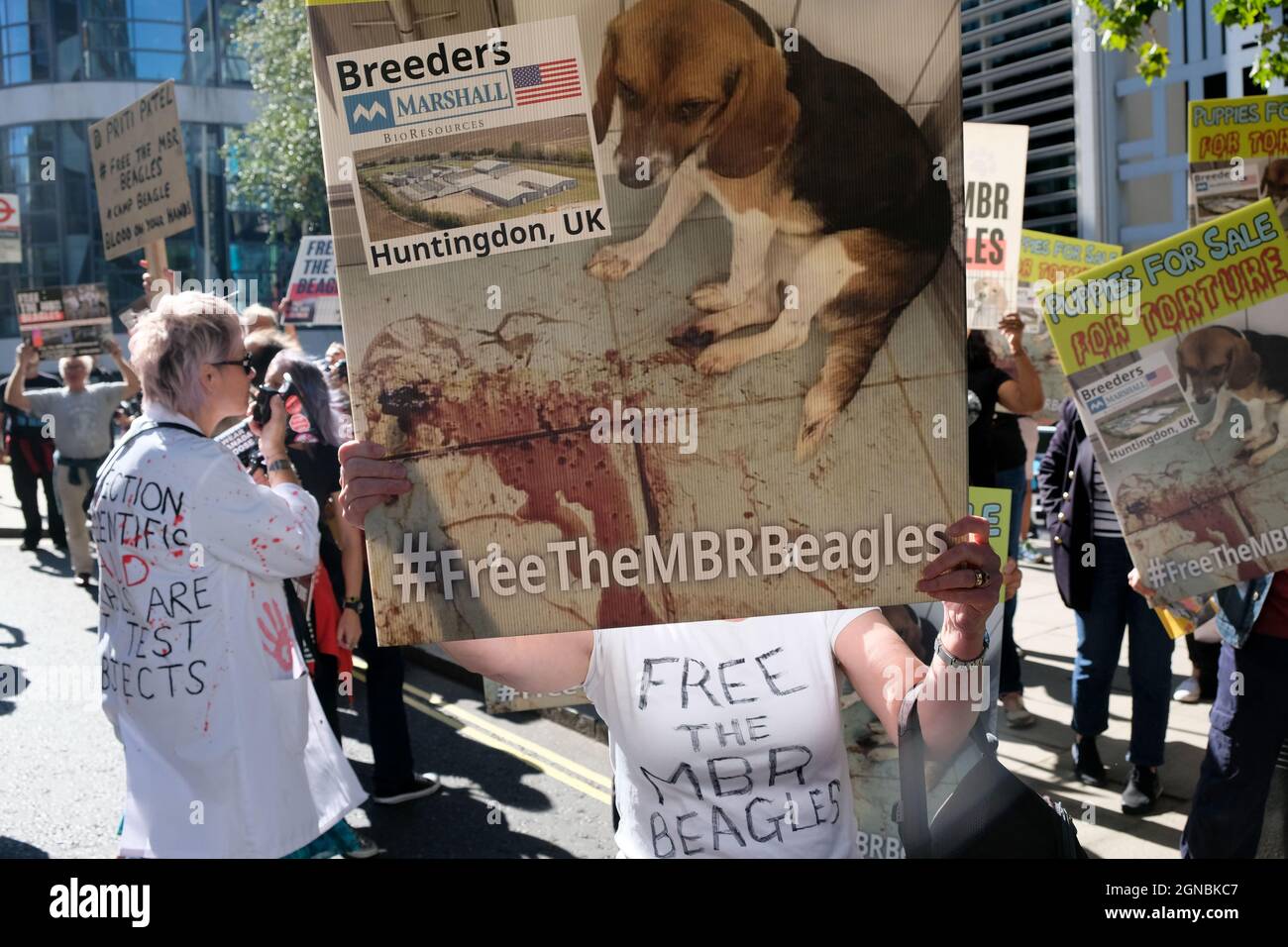 Against animal testing hi-res stock photography and images - Alamy