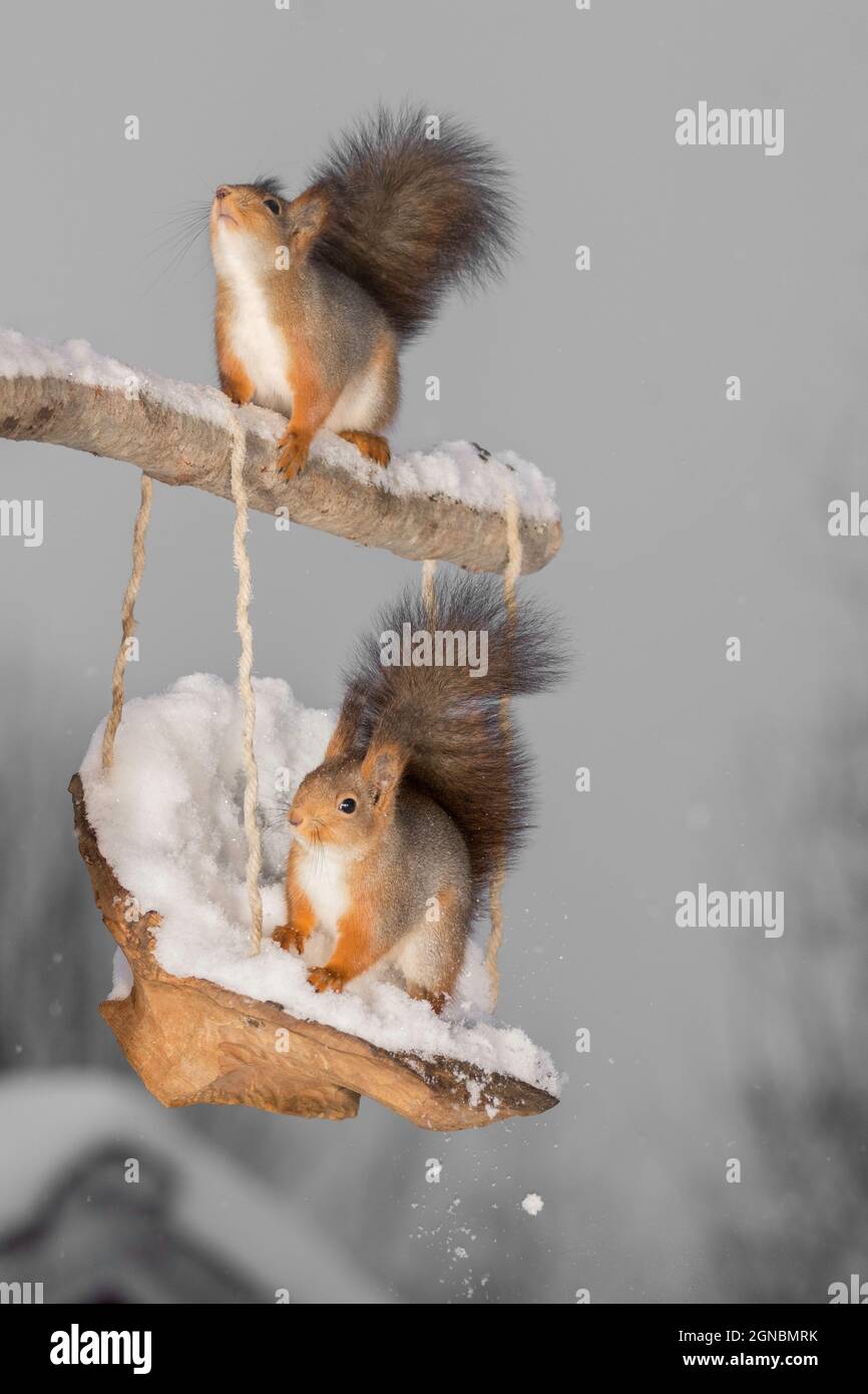 Red frozen chair hi-res stock photography and images - Alamy