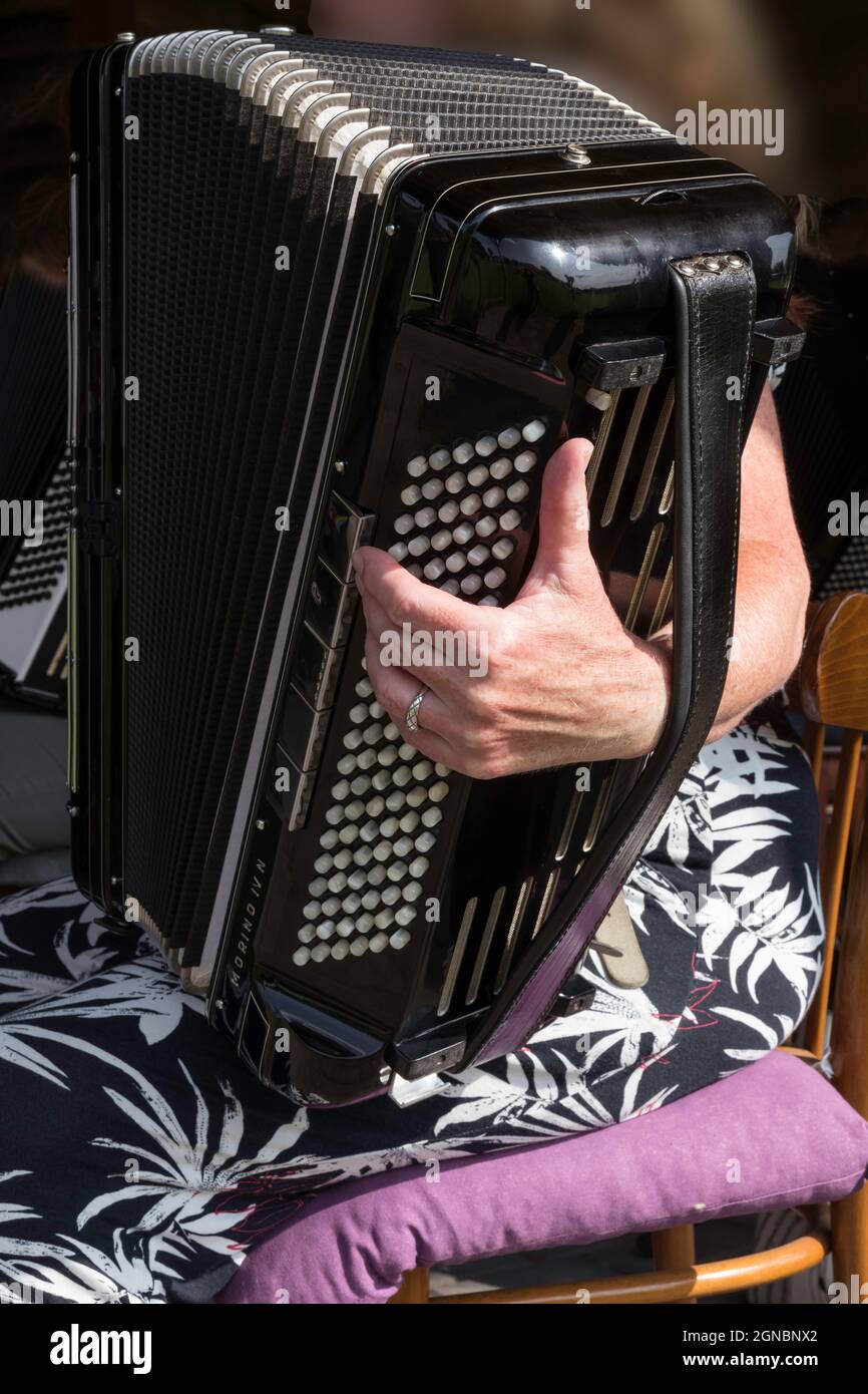 music concert with a woman playing the accordion instrument Stock Photo ...
