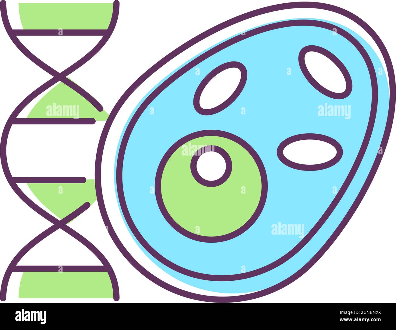 Biology RGB color icon Stock Vector Image & Art - Alamy