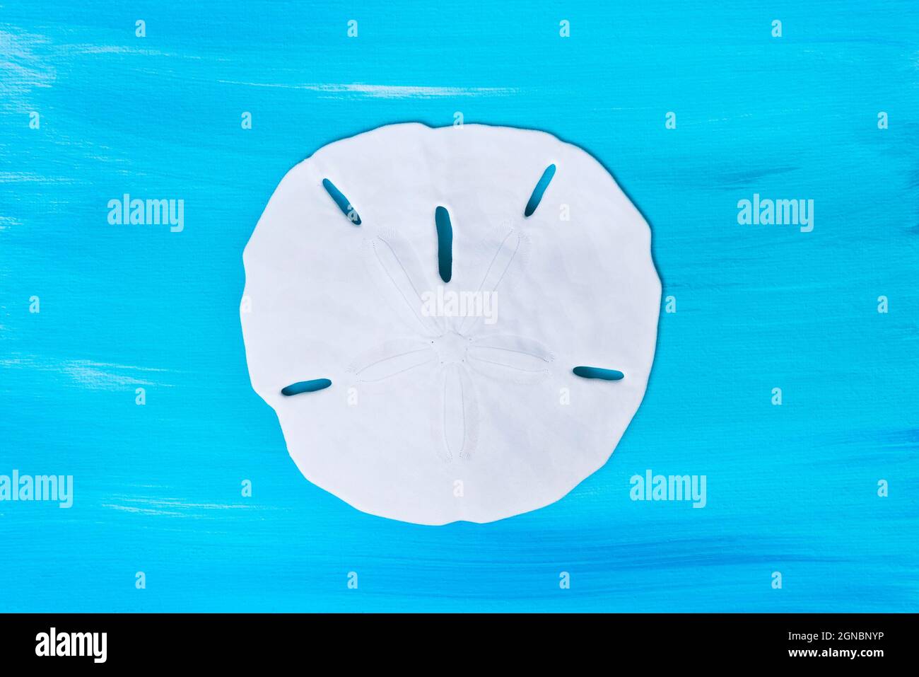 Painted blue background hi-res stock photography and images - Alamy