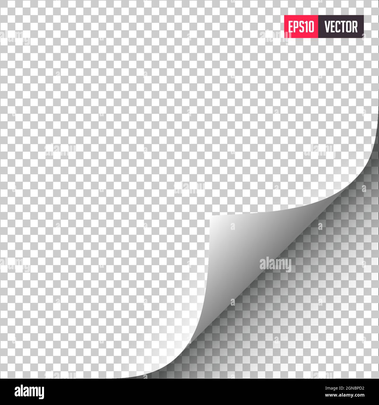 Page Curl with Shadows on Transparent Sheet of Paper. Vector Stock ...