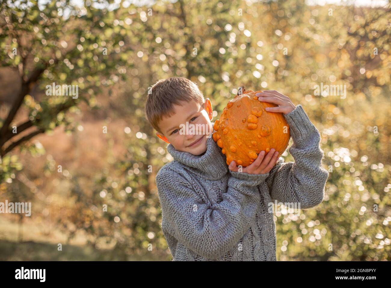 Deformed ugly orange pumpkins in a child hands Stock Photo - Alamy
