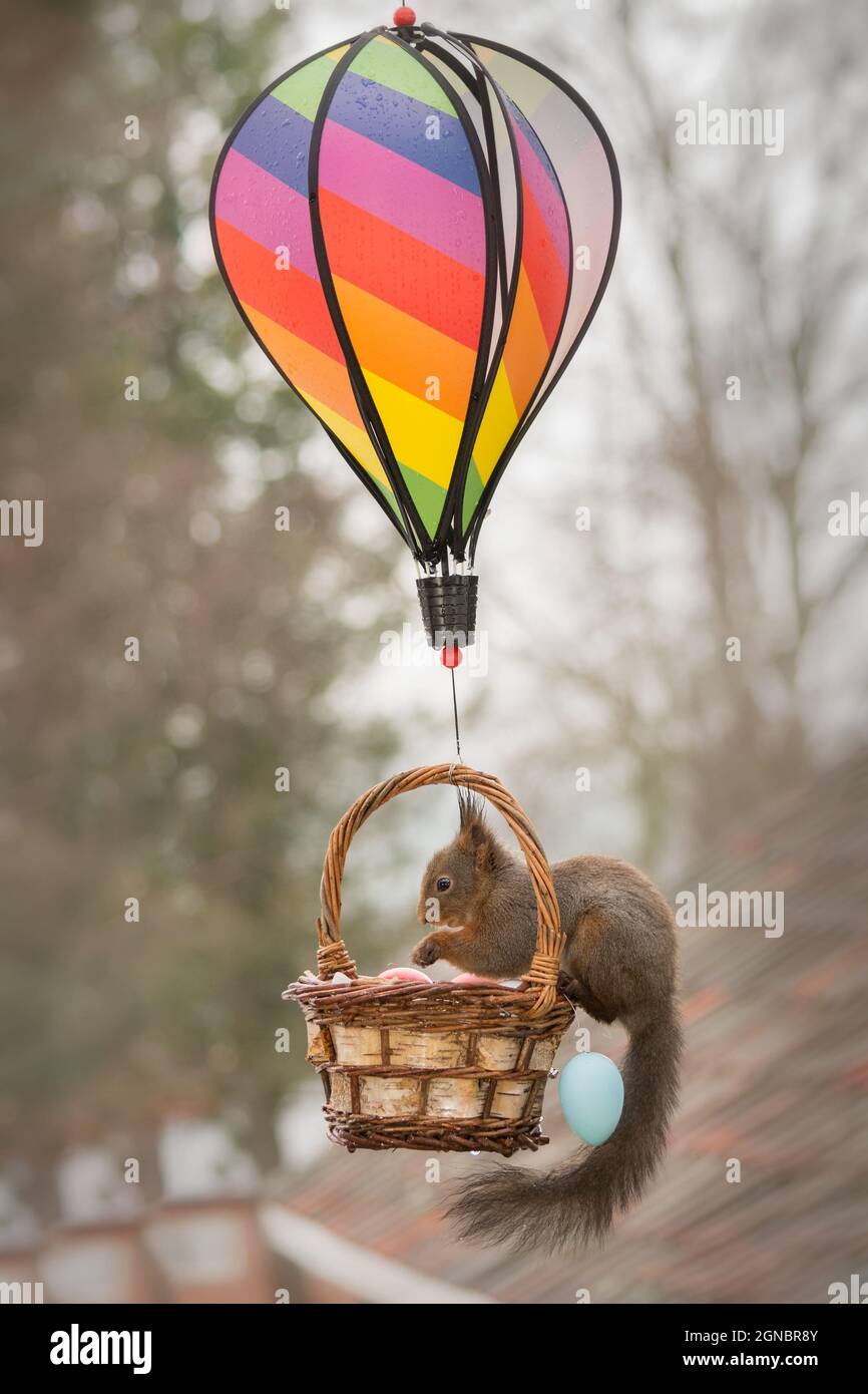 Hypnosis eyes hi-res stock photography and images - Alamy