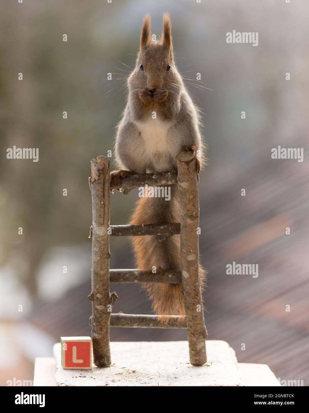 Ladder Numbers High Resolution Stock Photography and Images - Alamy
