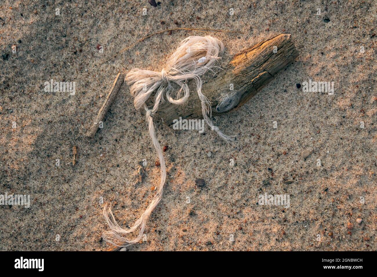 Twig and thread on the sandy beach Stock Photo - Alamy