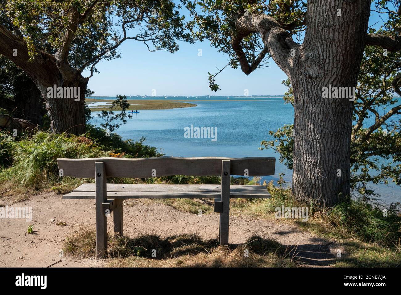 bench overlooking the sea on a bright summer day Stock Photo - Alamy