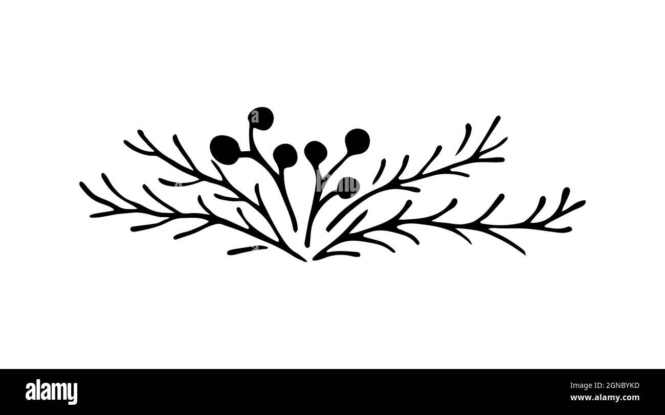 Hand drawn doodle style twigs in vector. Isolated illustration on white ...